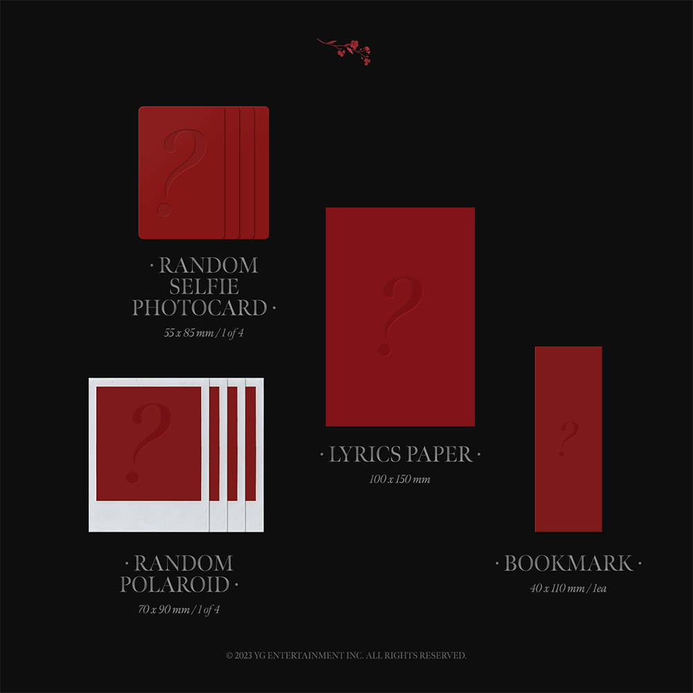 JISOO FIRST SINGLE ALBUM PHOTOBOOK (RED) – BLACKPINK | SHOP